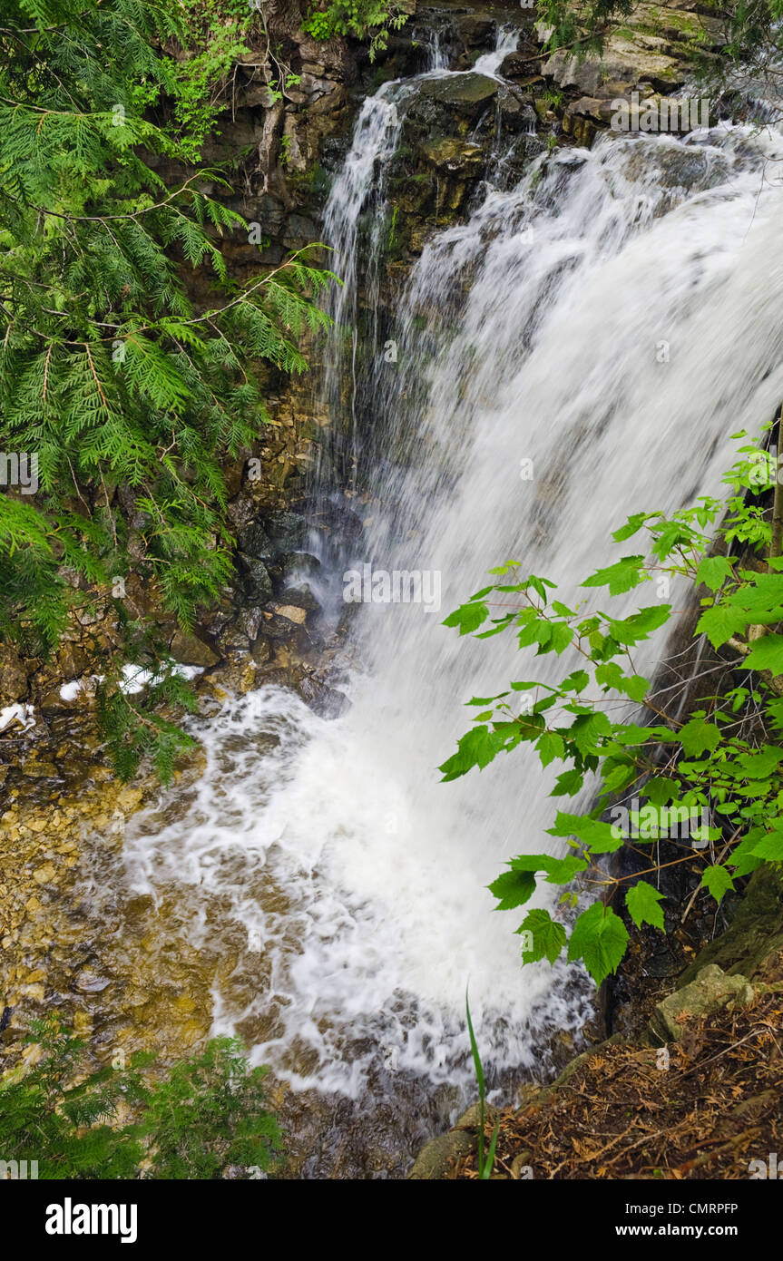 Hilton falls conservation area hi-res stock photography and images - Alamy