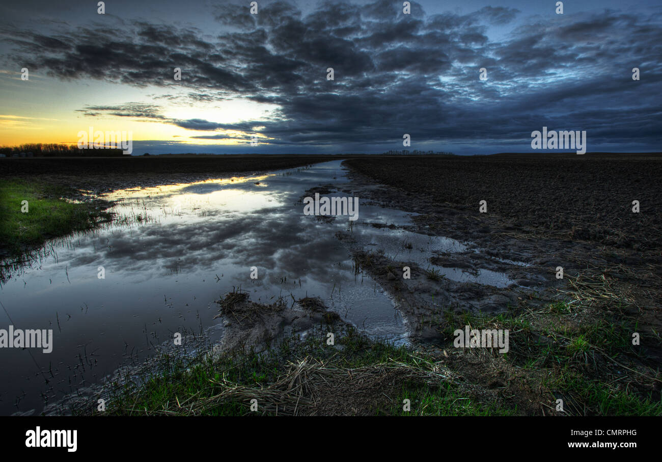 Wet Prairie Farm Field at Sunset, near Morinville, Alberta Stock Photo ...