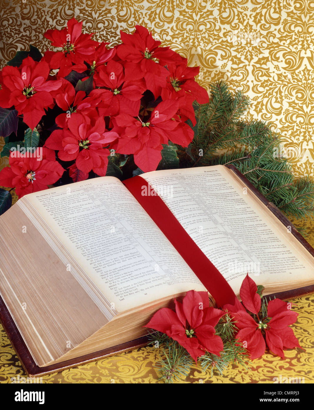 1979 1970s RETRO BIBLE POINTSETTIA Stock Photo - Alamy