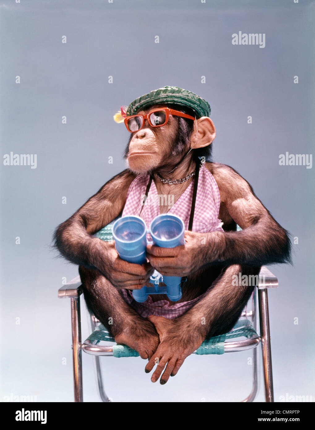 1970 1970s RETRO MONKEY BINOCULARS HAT GLASSES CHAIR Stock Photo - Alamy