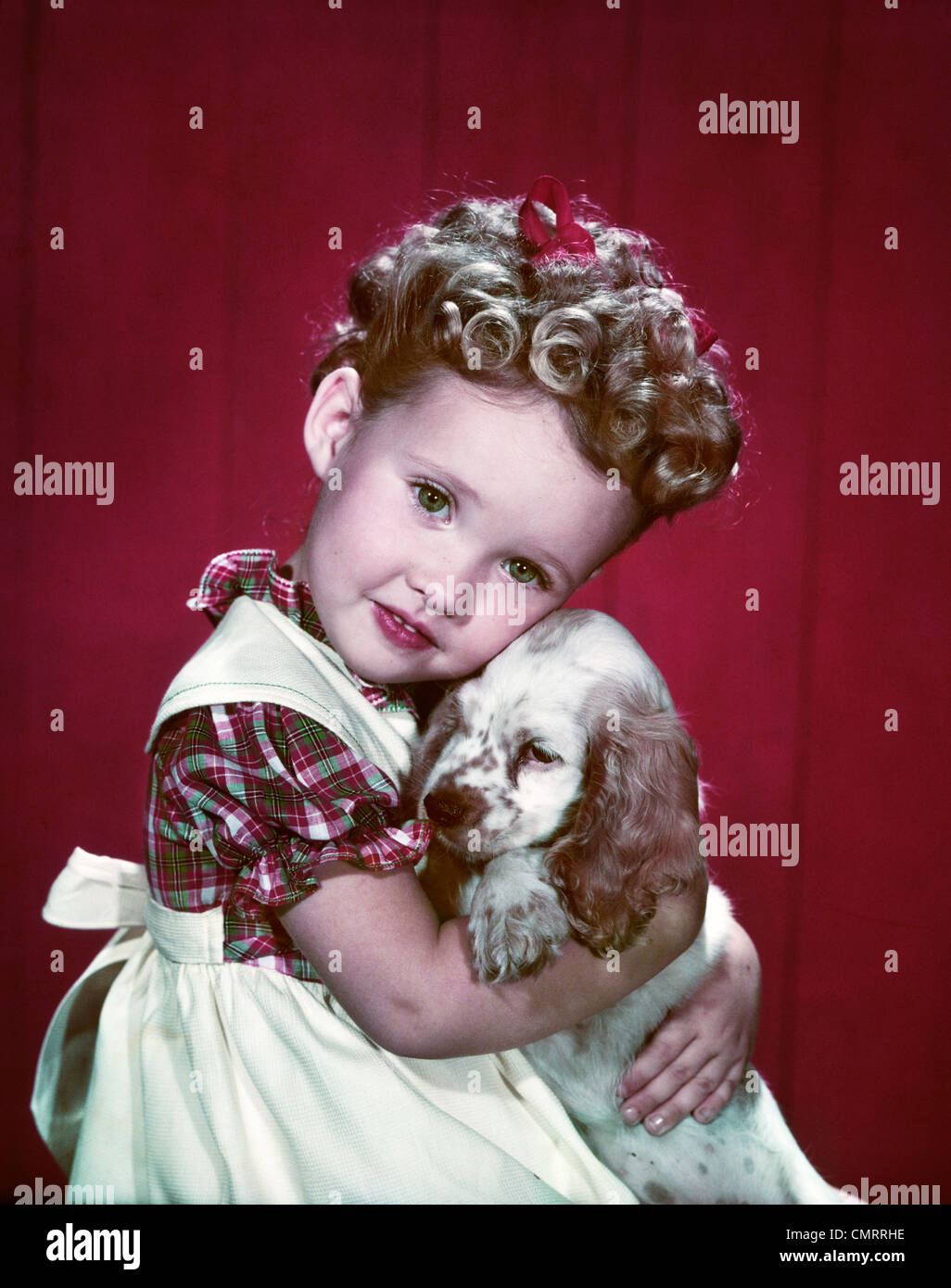 Cocker spaniel puppy children hi-res stock photography and images - Alamy