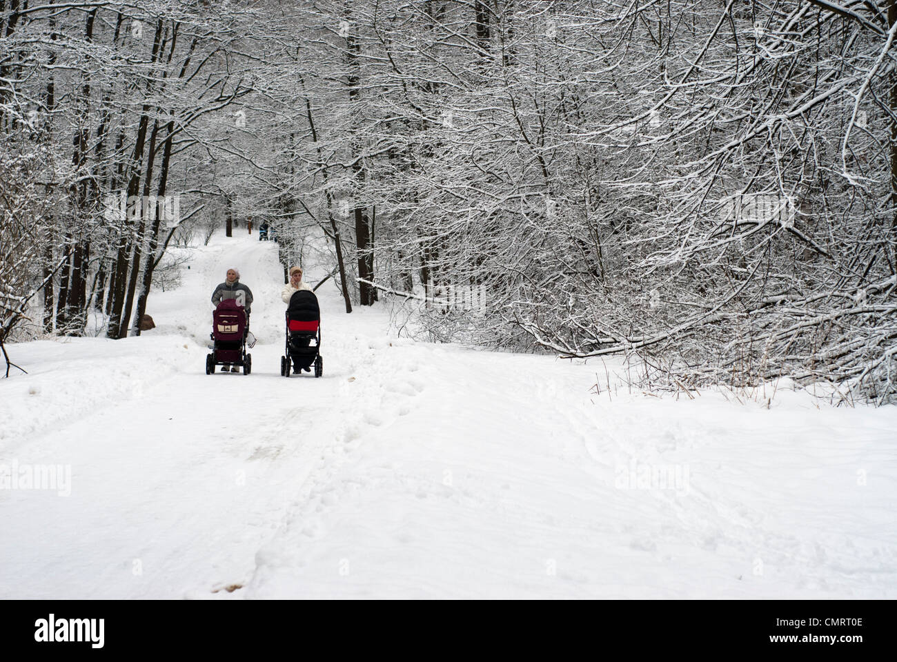 Two ladies walking with their prams in a winter park Stock Photo - Alamy