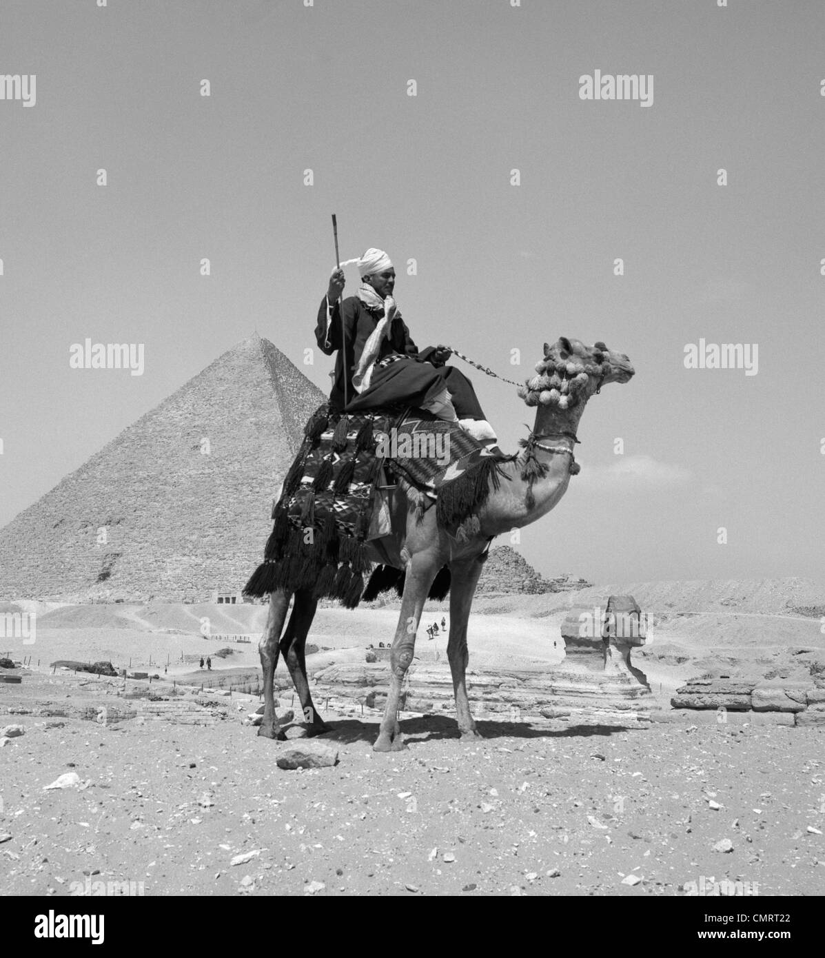 1950s NATIVE MAN ARAB RIDING CAMEL NEAR THE GREAT PYRAMID AT GIZA AND ...