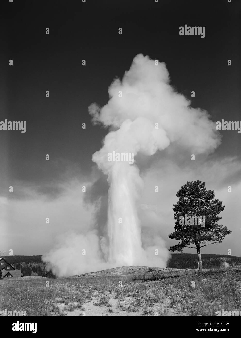 1960s OLD FAITHFUL GEYSER ERUPTING YELLOWSTONE NATIONAL PARK Stock ...