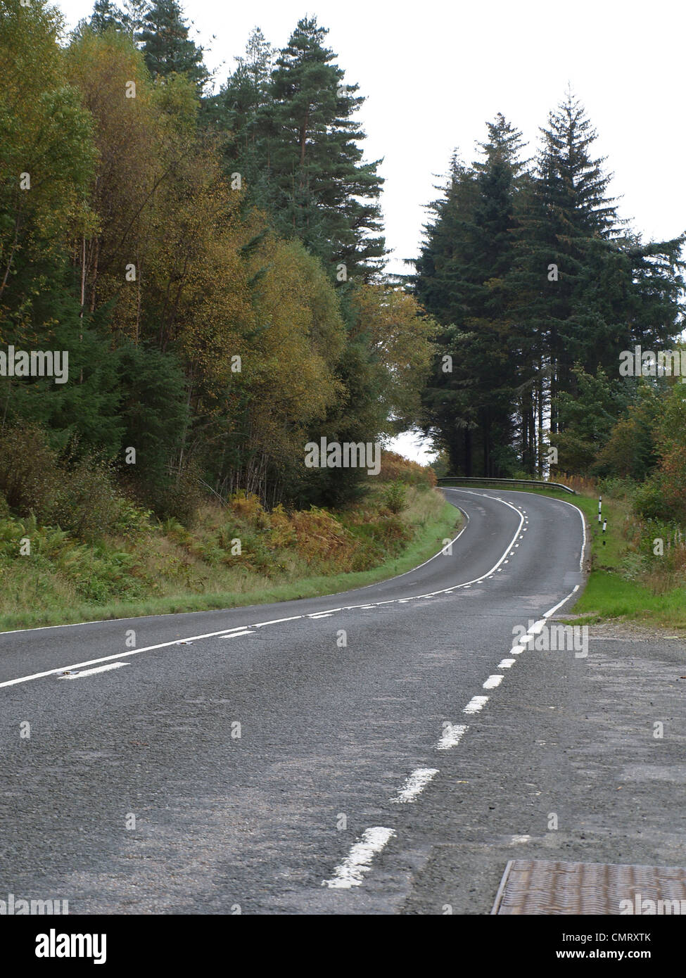 Empty forrest road Stock Photo - Alamy