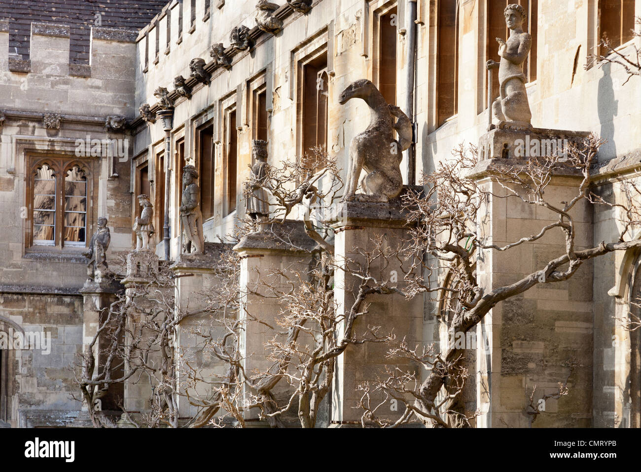 Magdalen College Oxford - the Cloister, statues and Wisteria 8 Stock ...
