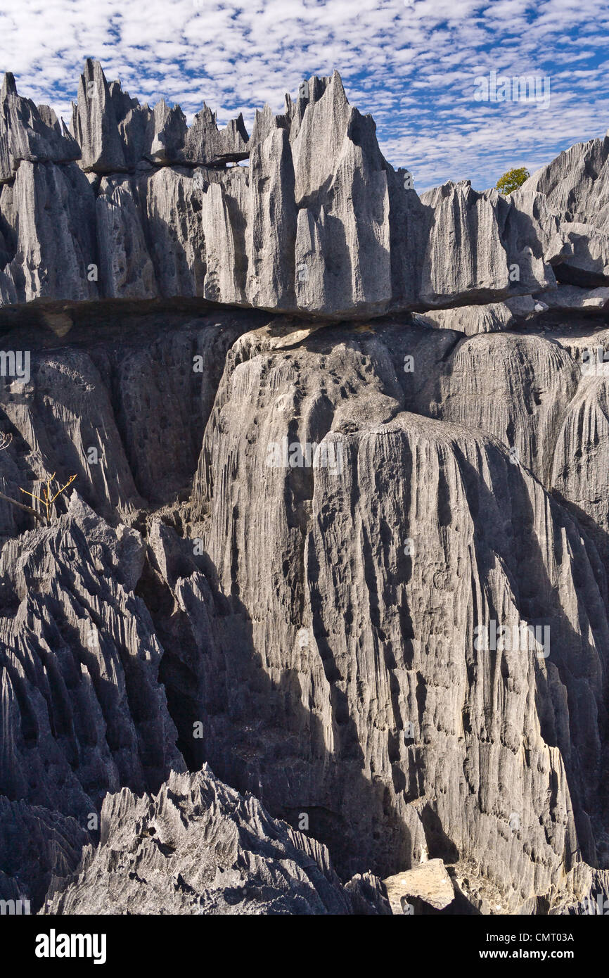 Tsingy de Bemaraha National Park, Madagascar, Unesco World Heritage ...