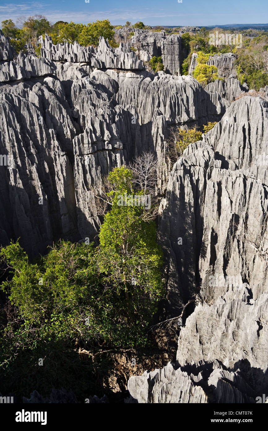 Tsingy de Bemaraha National Park, Madagascar, Unesco World Heritage ...