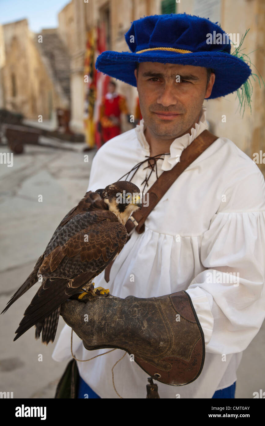 Falconer in period costume with Peregrine falcon Stock Photo - Alamy