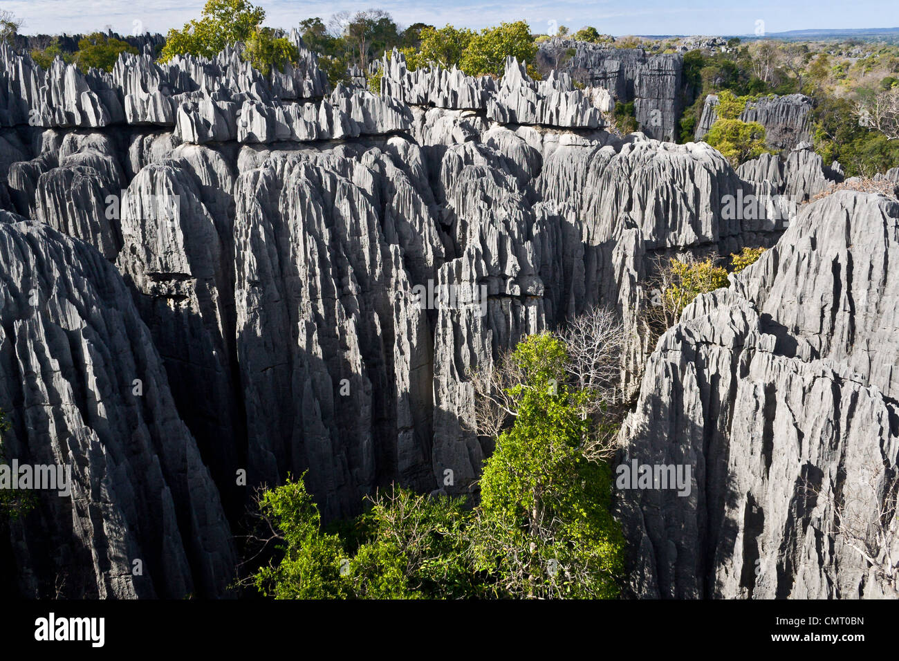 Tsingy de Bemaraha National Park, Madagascar, Unesco World Heritage ...