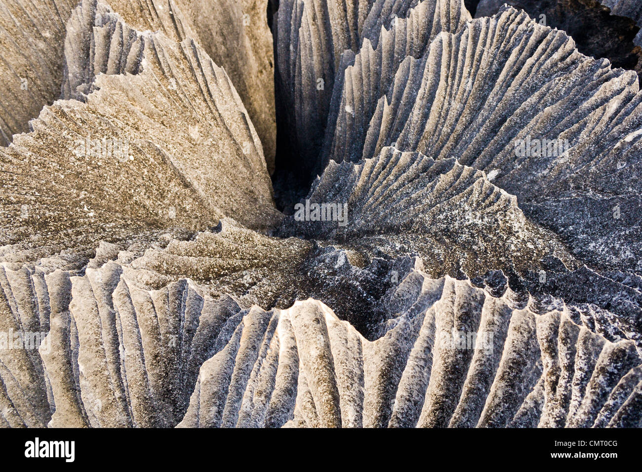 Tsingy de Bemaraha National Park, Madagascar, Unesco World Heritage ...