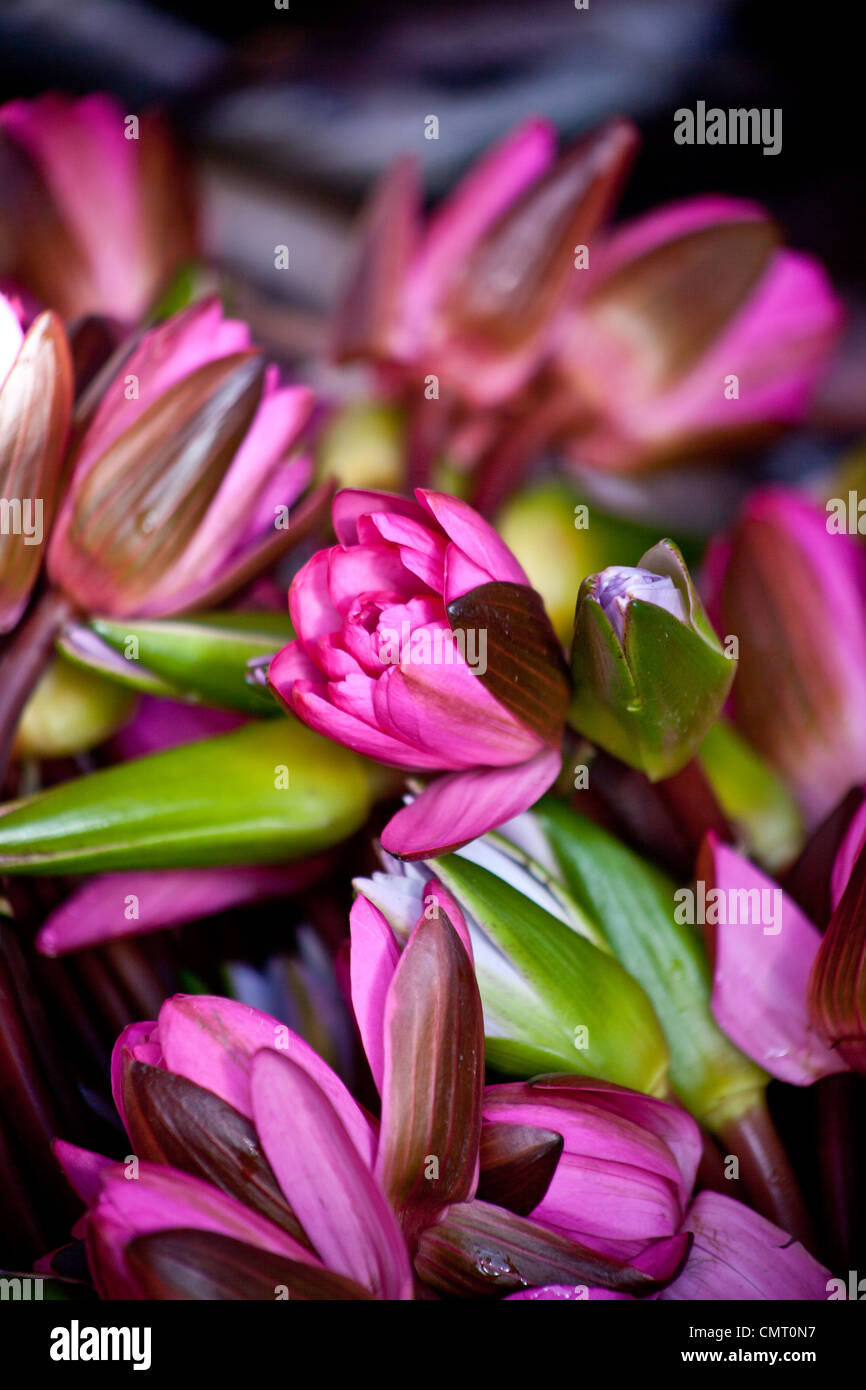 2011 myanmar hi-res stock photography and images - Alamy