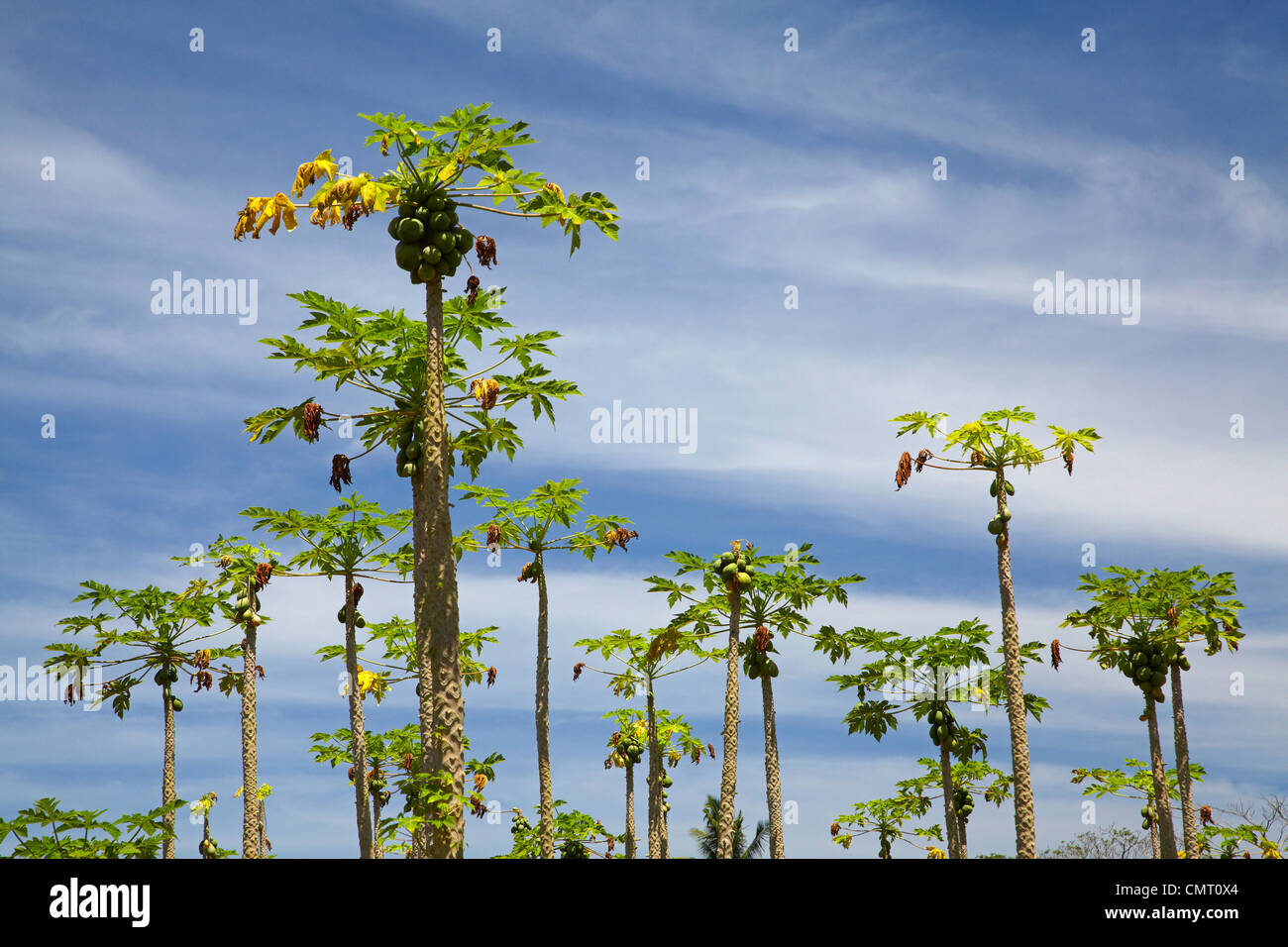 Sigatoka, fiji and coral coast hi-res stock photography and images - Alamy