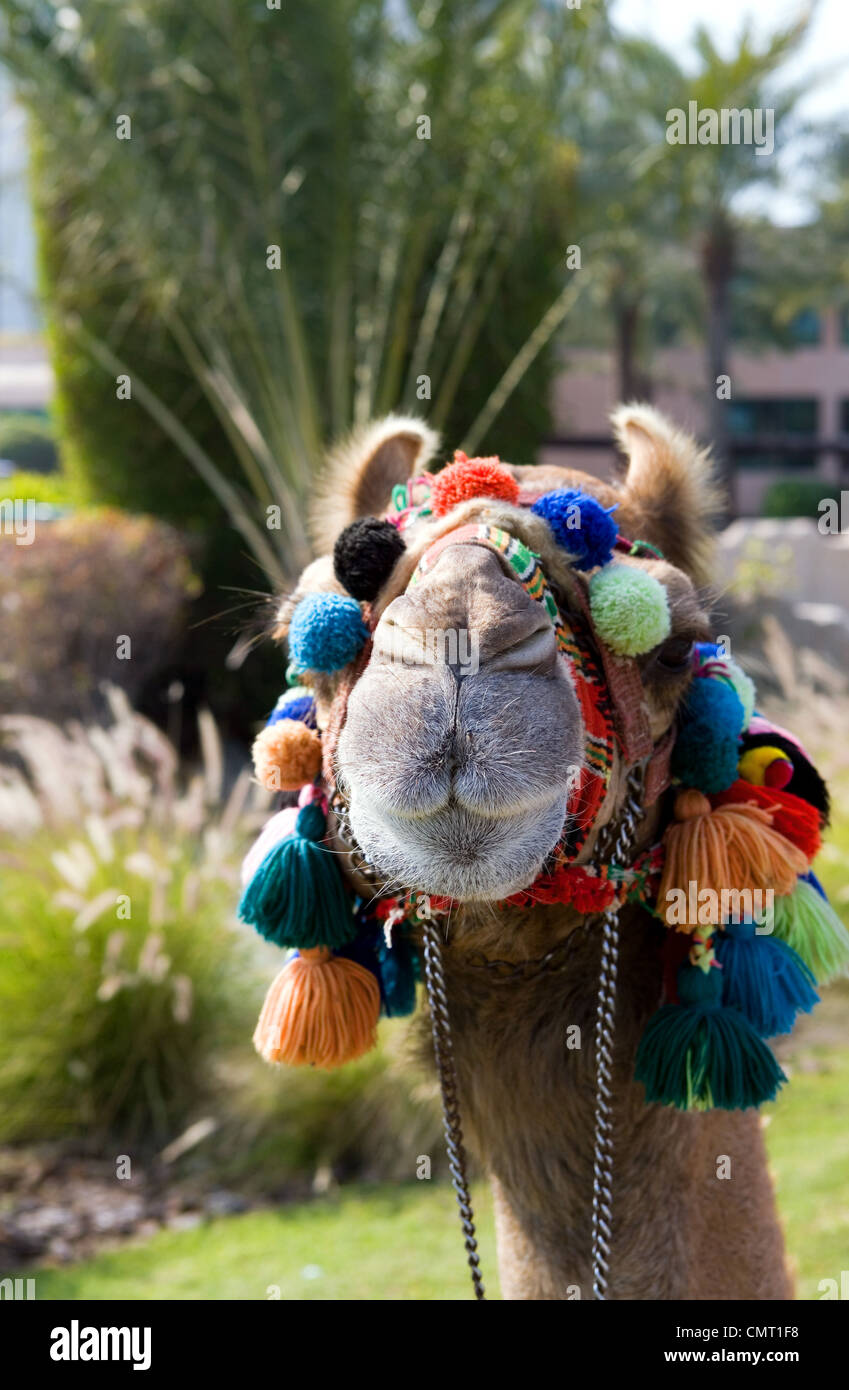 Bahrain garden hi-res stock photography and images - Alamy