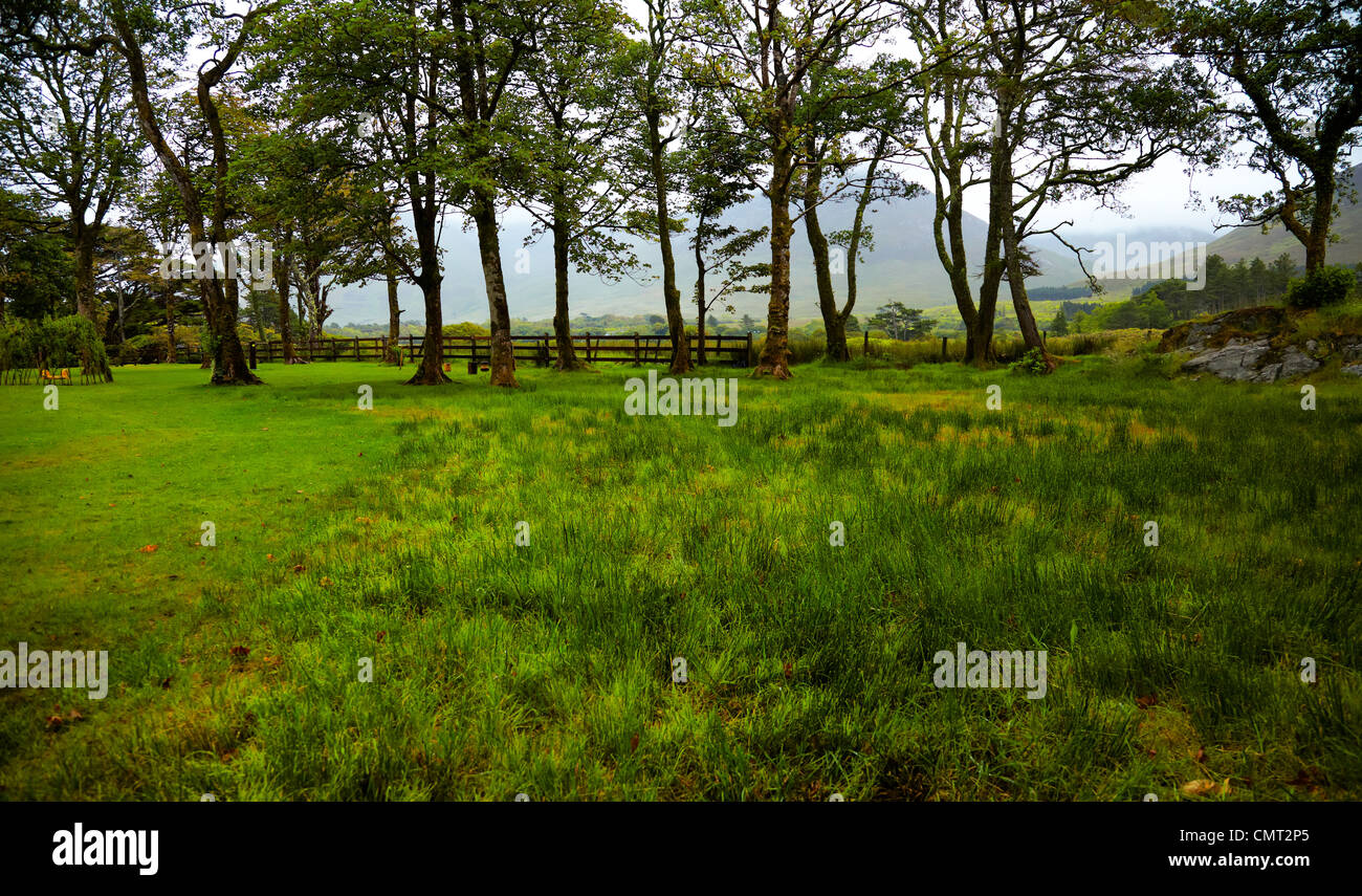 Overcast landscape at Kylemore Abbey gardens in summer, Ireland Stock ...