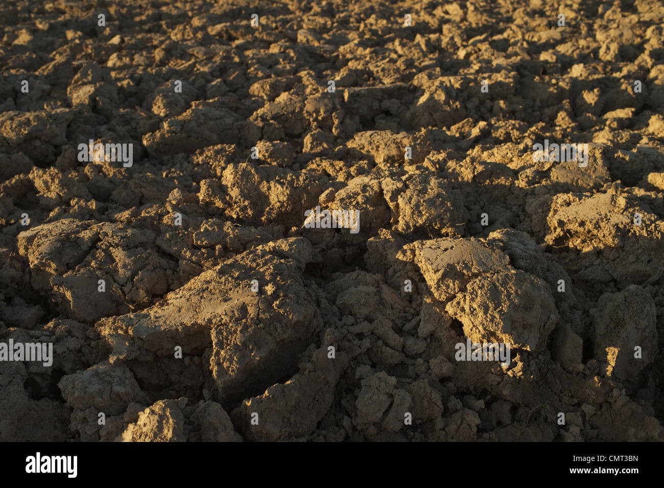 Clod of a earth hi-res stock photography and images - Alamy