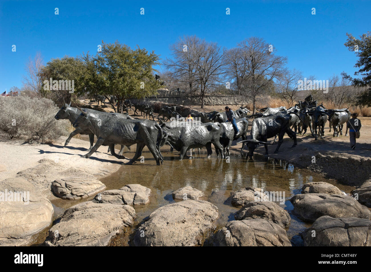 Texas - Cattle Drive sculpture in Pioneer Plaza, Dallas Stock Photo - Alamy