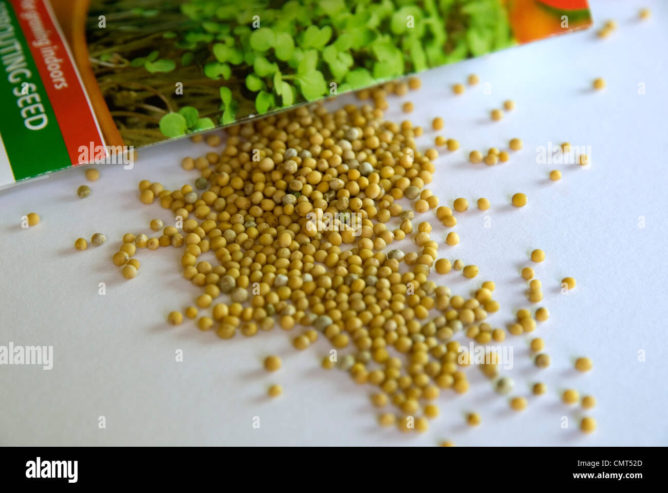 Easy seeds hi-res stock photography and images - Alamy