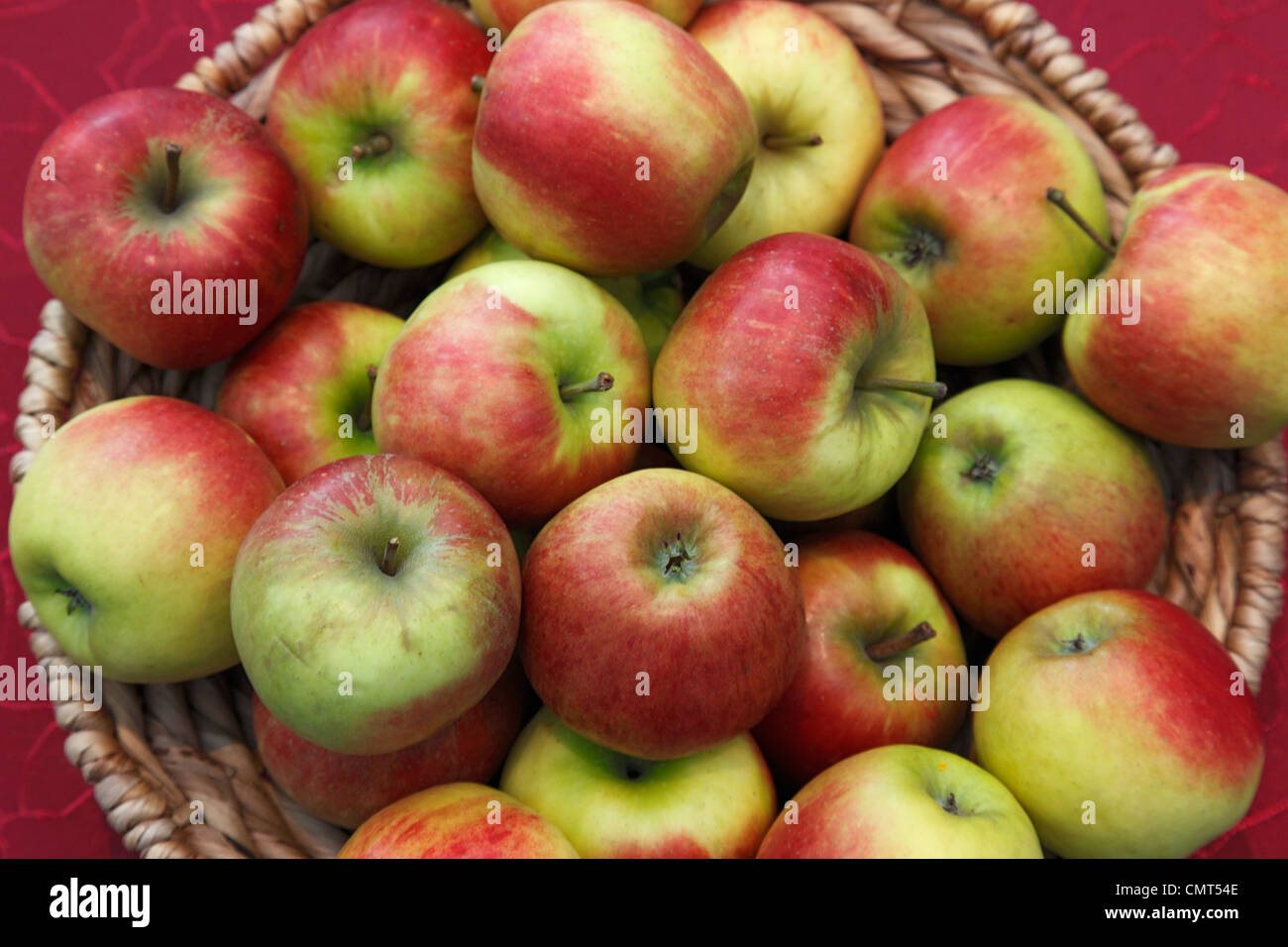 Studiofoto Stock Photos & Studiofoto Stock Images - Alamy