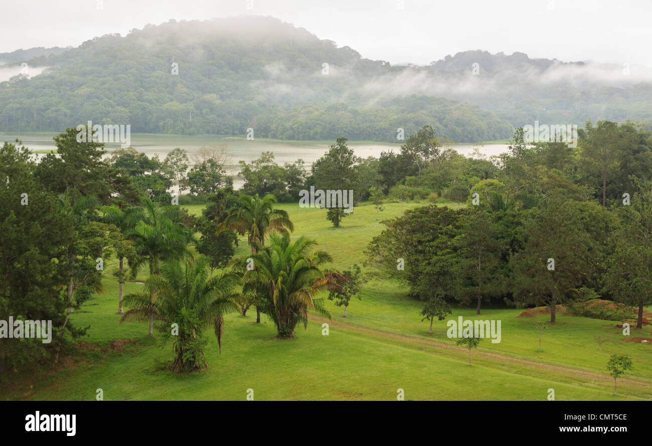 Gamboa Forest & Gatun Lake Stock Photo - Alamy