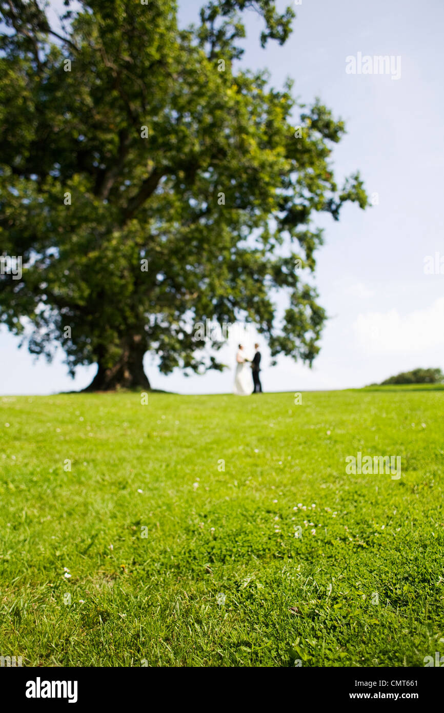 Big Foreground High Resolution Stock Photography and Images - Alamy