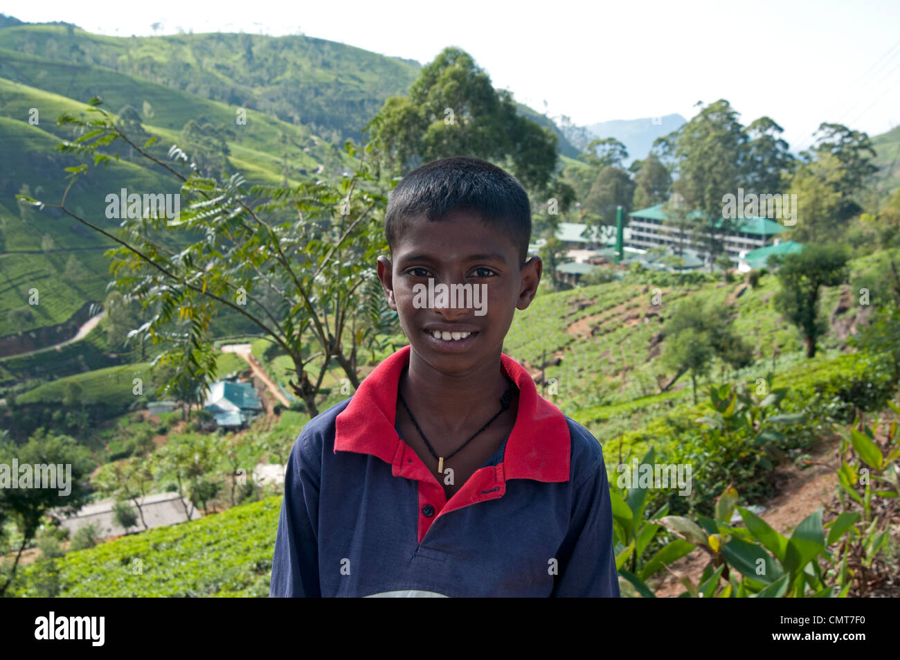 Sri Lankan boy at a tea plantation in Nuwara Eliya Sri Lanka Stock ...