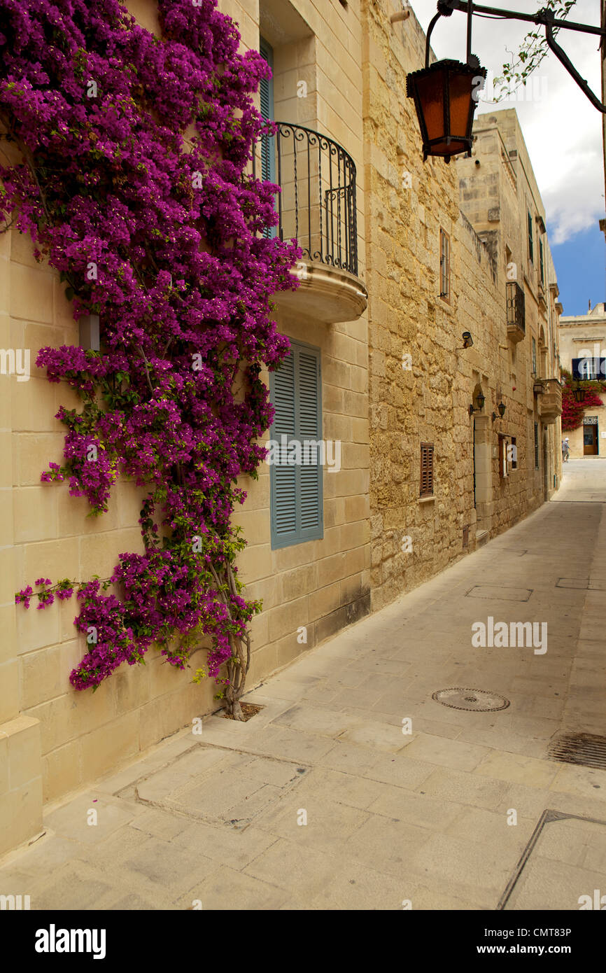 Medieval maltese architecture hi-res stock photography and images - Alamy