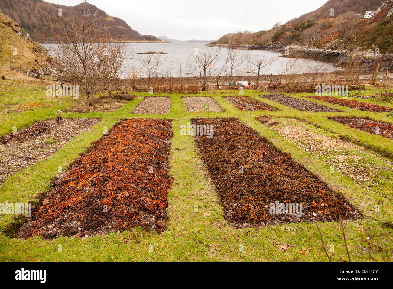 A lazy bed, a traditional method of growing crops used since post Roman ...
