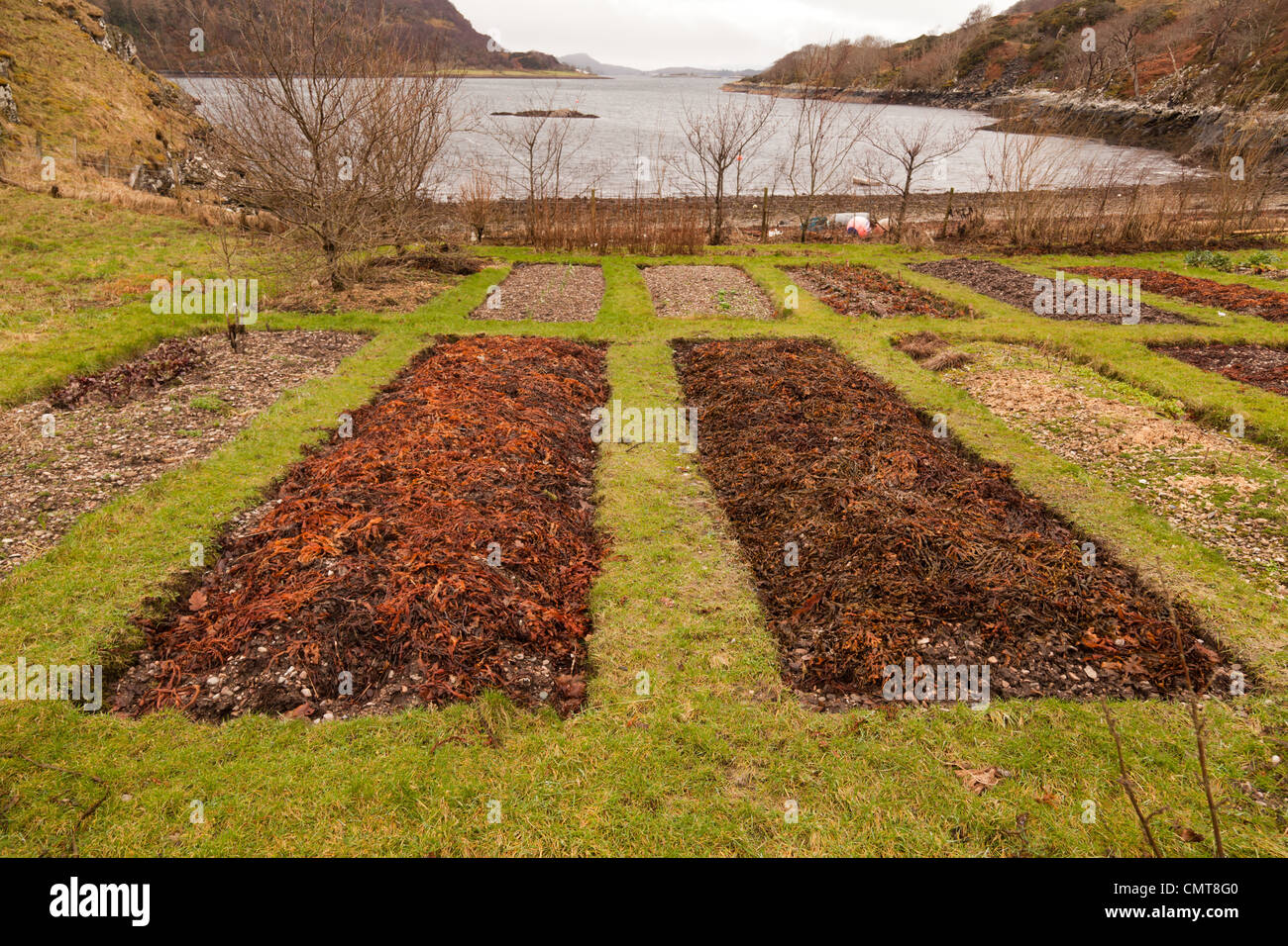 A lazy bed, a traditional method of growing crops used since post Roman ...