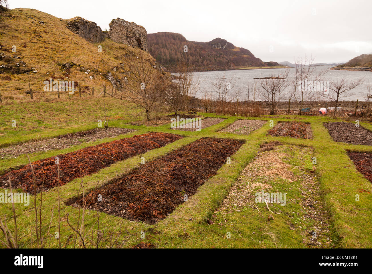 A lazy bed, a traditional method of growing crops used since post Roman ...
