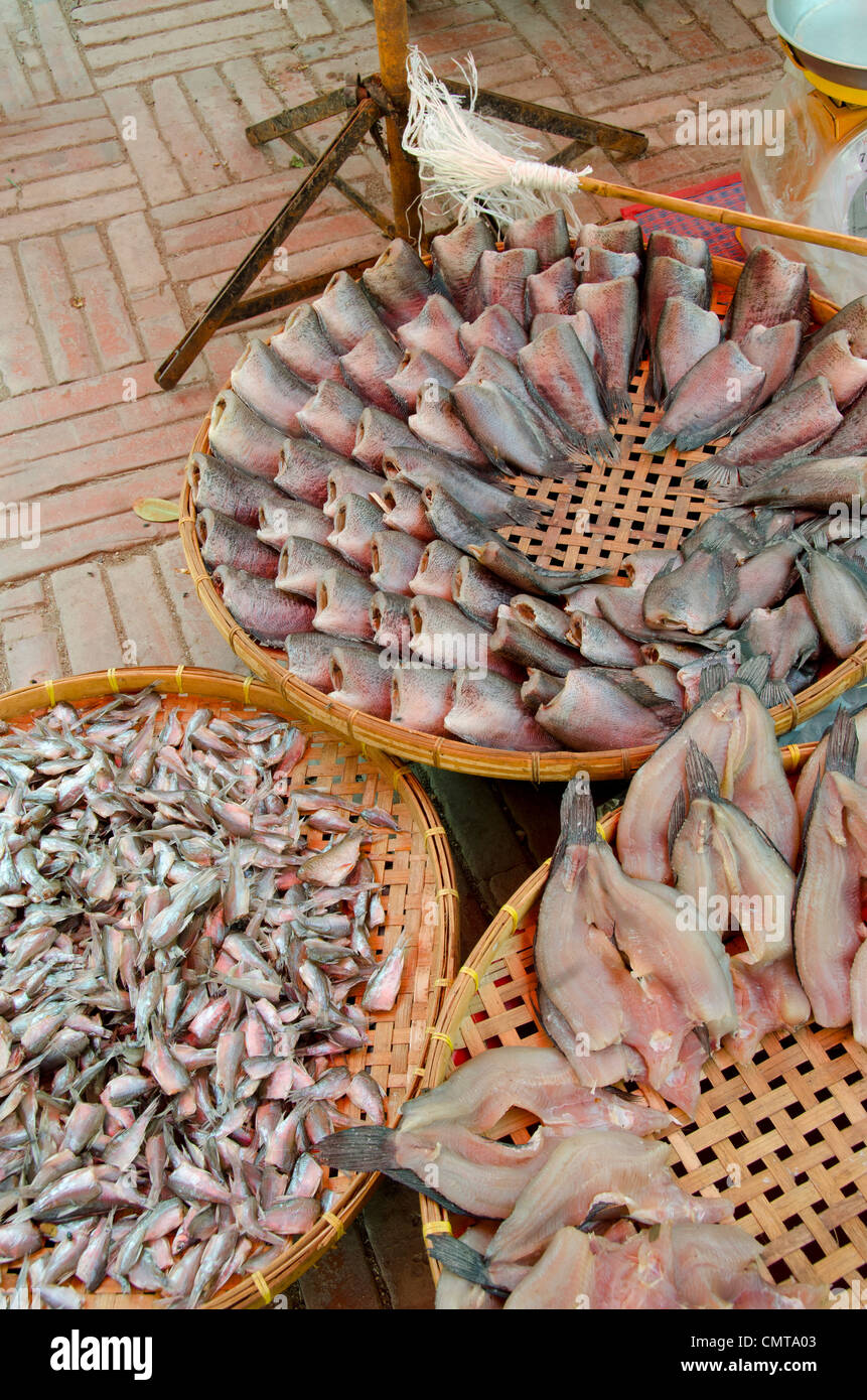 Thailand, Ayutthaya. Local market, fresh water fish display Stock Photo ...