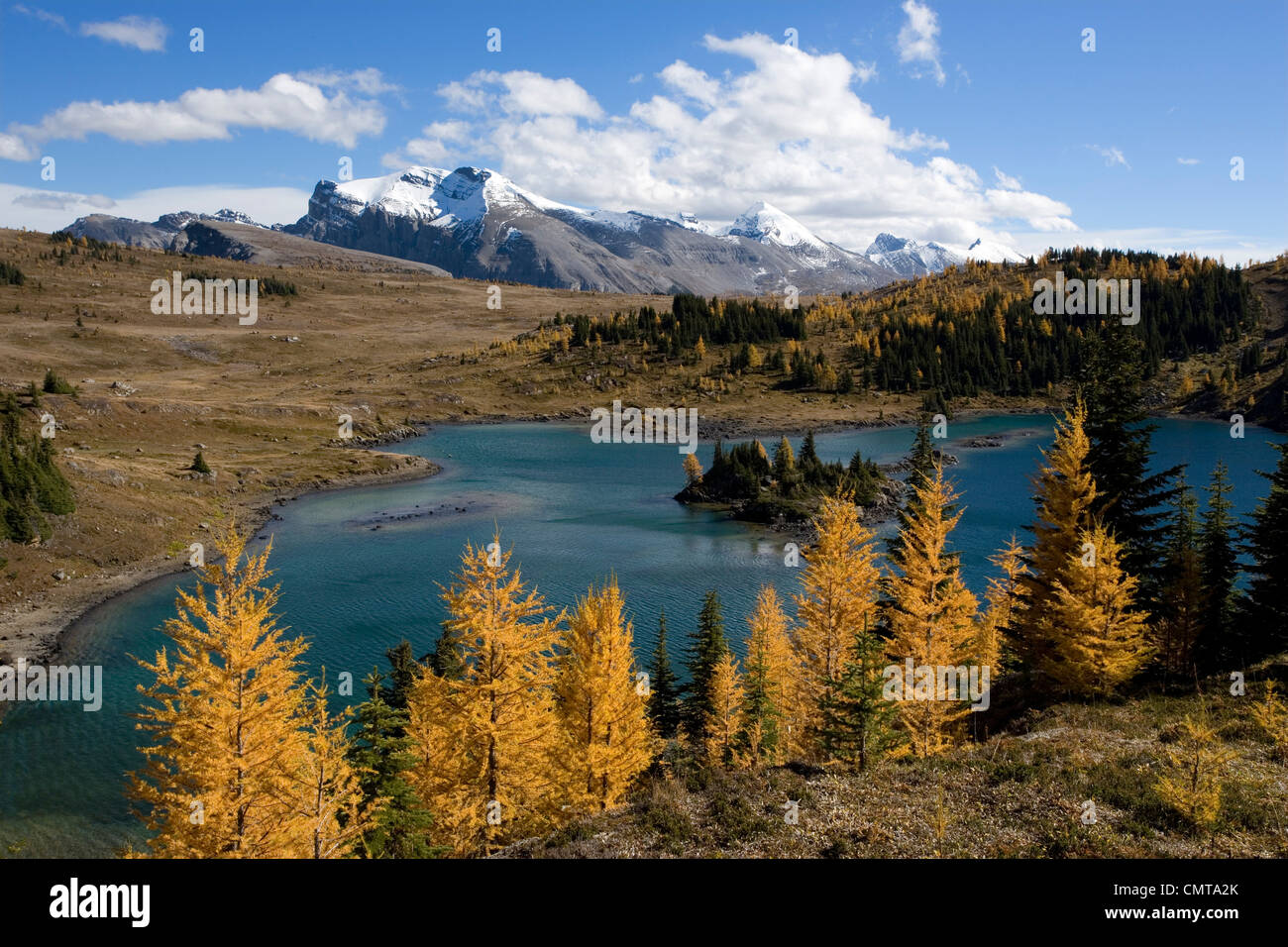 Rock Isle Lake in autumn, Sunshine Meadows, Banff National Park ...