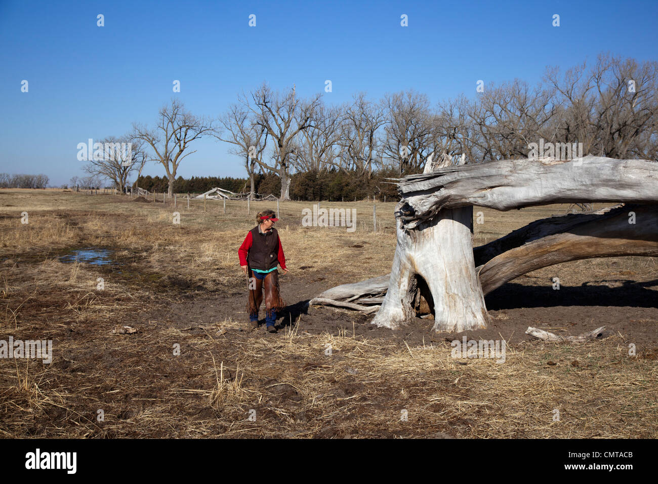 Cattle Ranch in Nebraska's Sandhills Where Keystone XL Oil Pipeline is ...