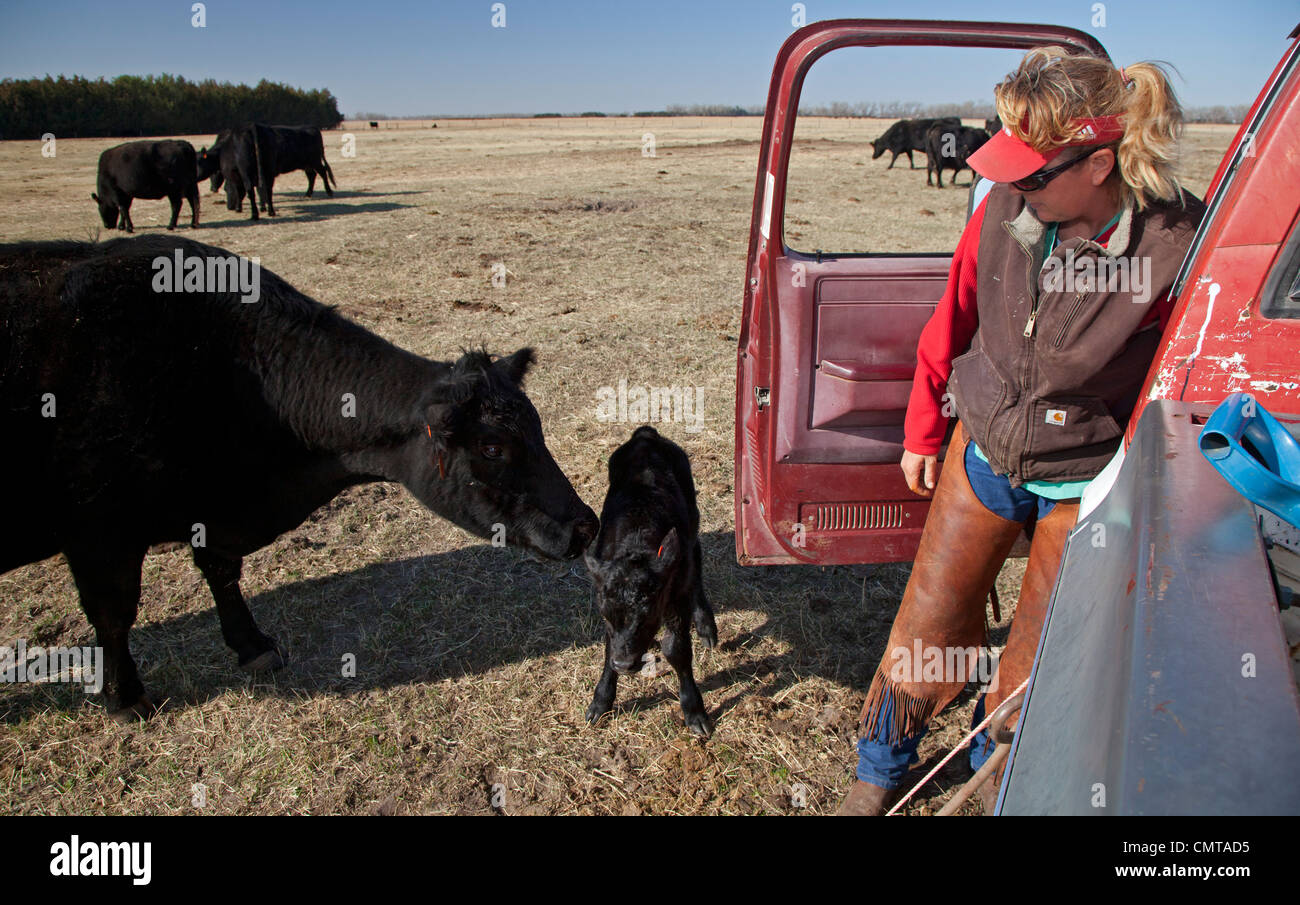 Cattle Ranch in Nebraska's Sandhills Where Keystone XL Oil Pipeline is ...