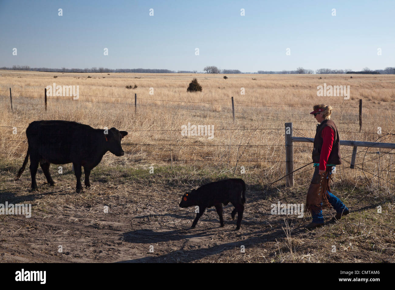 Cattle Ranch in Nebraska's Sandhills Where Keystone XL Oil Pipeline is ...