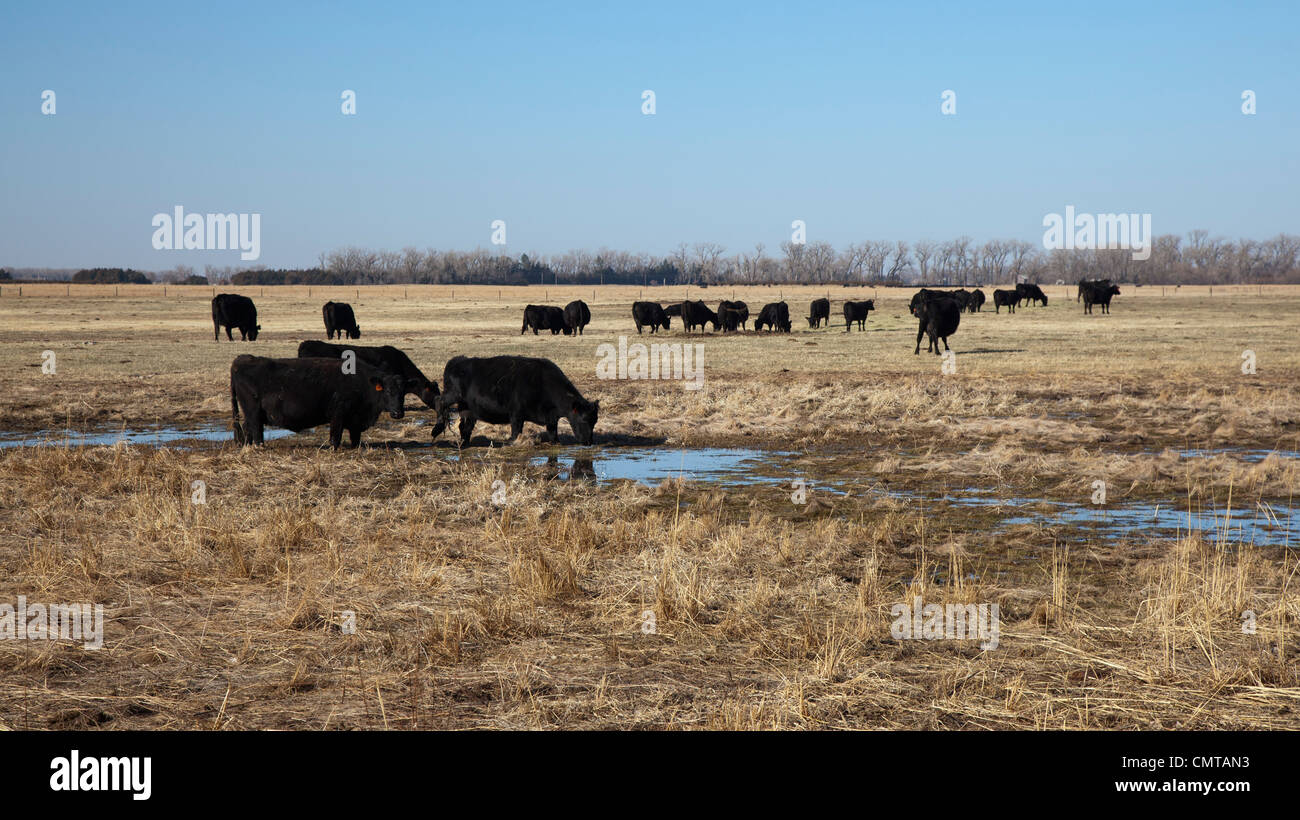 Ranch in nebraska sandhills hi-res stock photography and images - Alamy