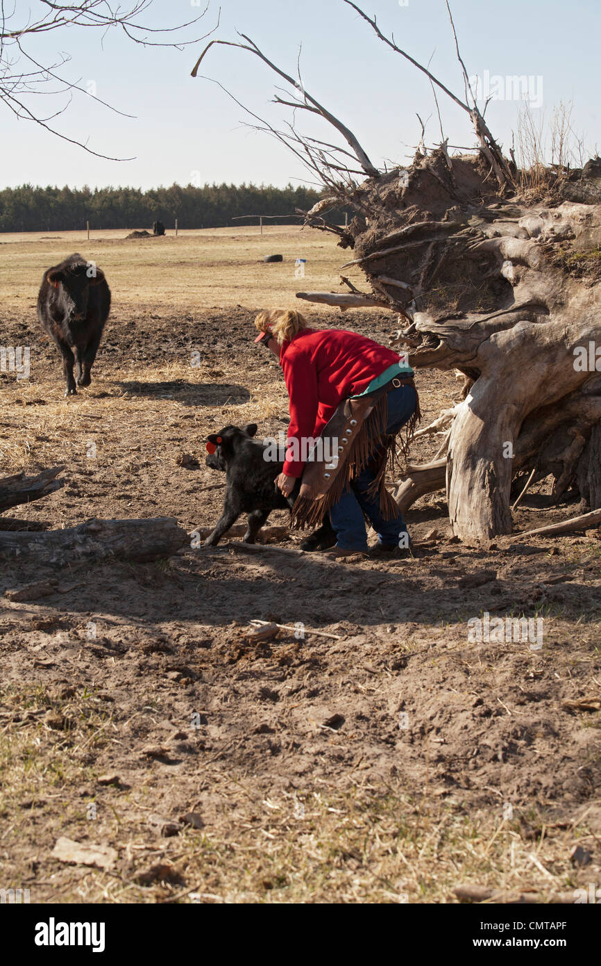 Cattle Ranch in Nebraska's Sandhills Where Keystone XL Oil Pipeline is ...