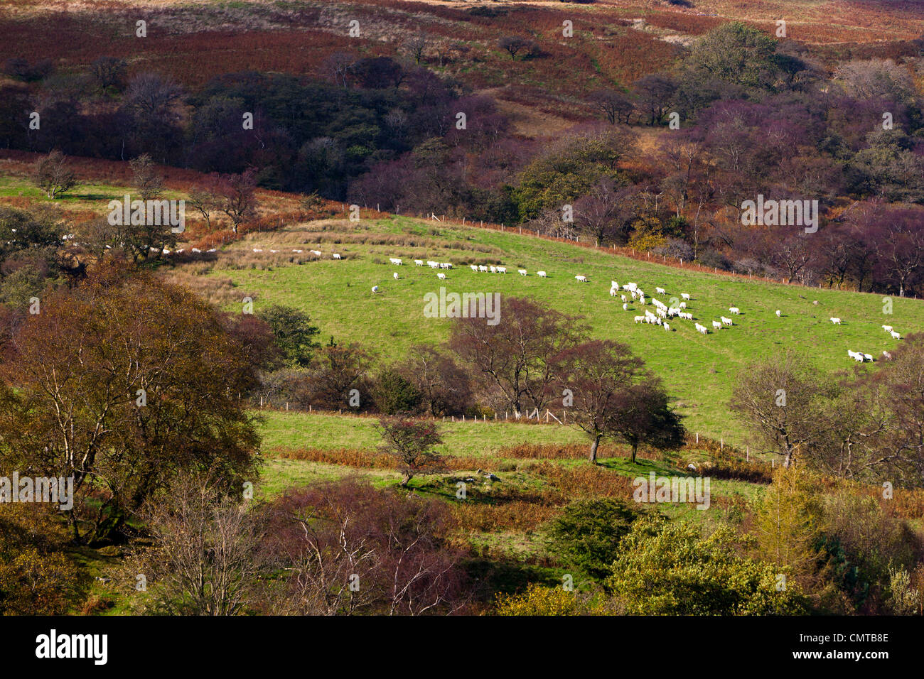 Beacons national park landscape hi-res stock photography and images - Alamy