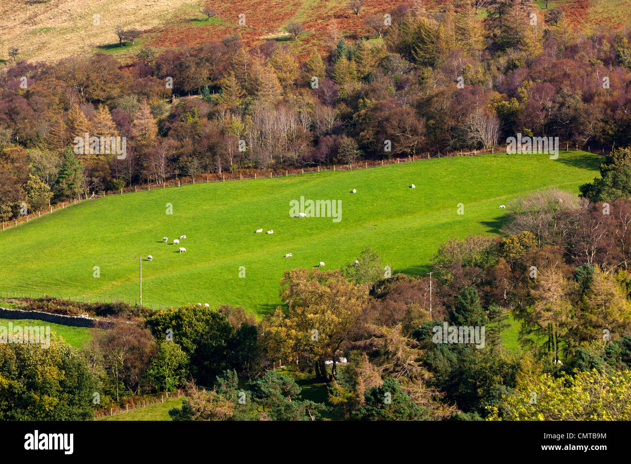 Rolling landscape, Glyn Tarell, Brecon Beacons National Park, South ...