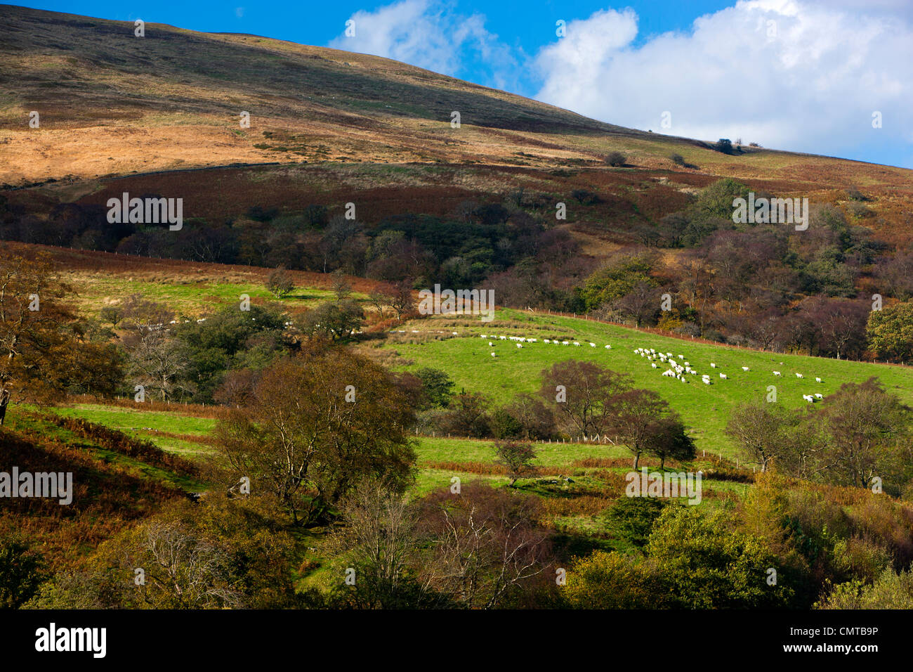 Tarell hi-res stock photography and images - Alamy