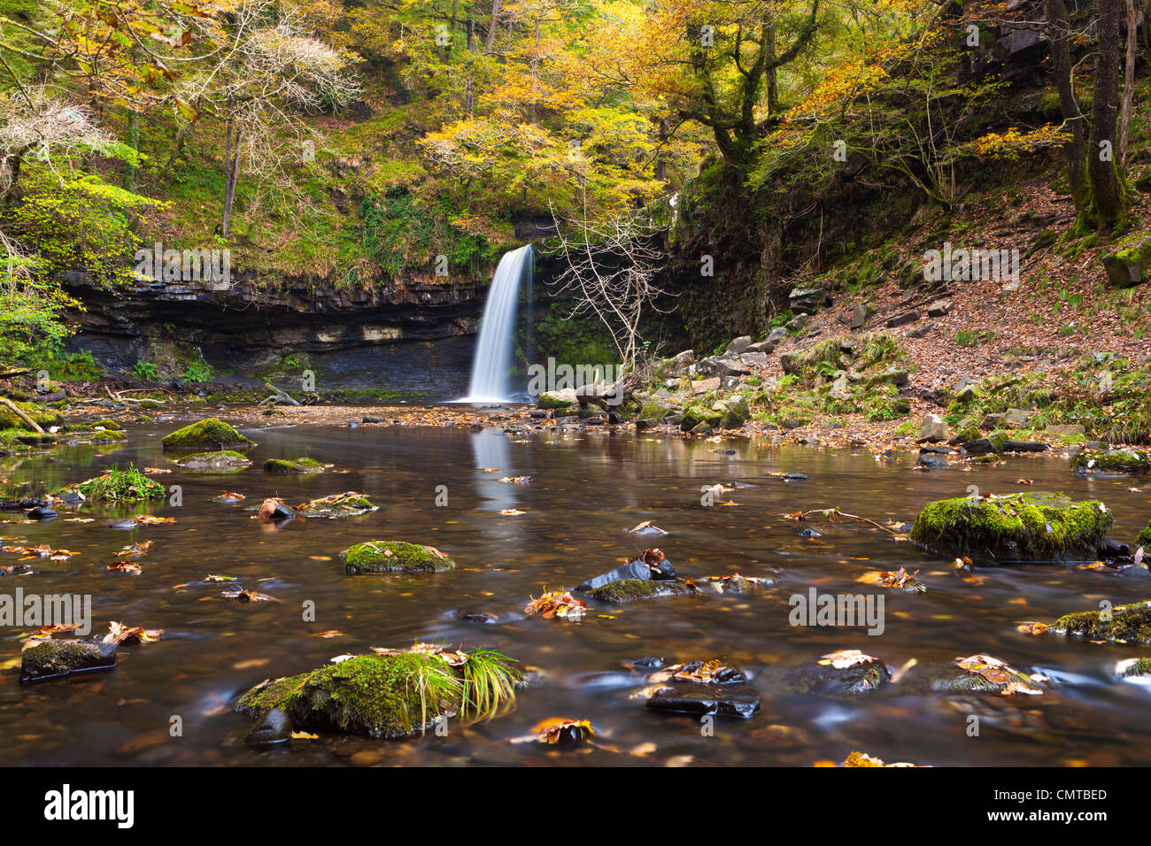 Sgwd Gwladys Waterfall Glyn Neath, Brecon Beacons National Park, Powys ...