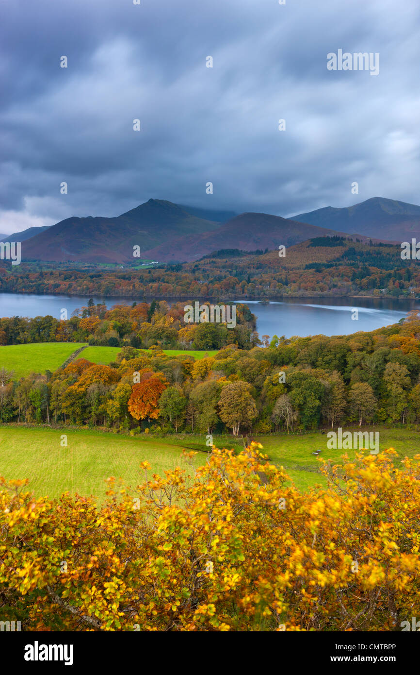 Castlehead wood, keswick hi-res stock photography and images - Alamy