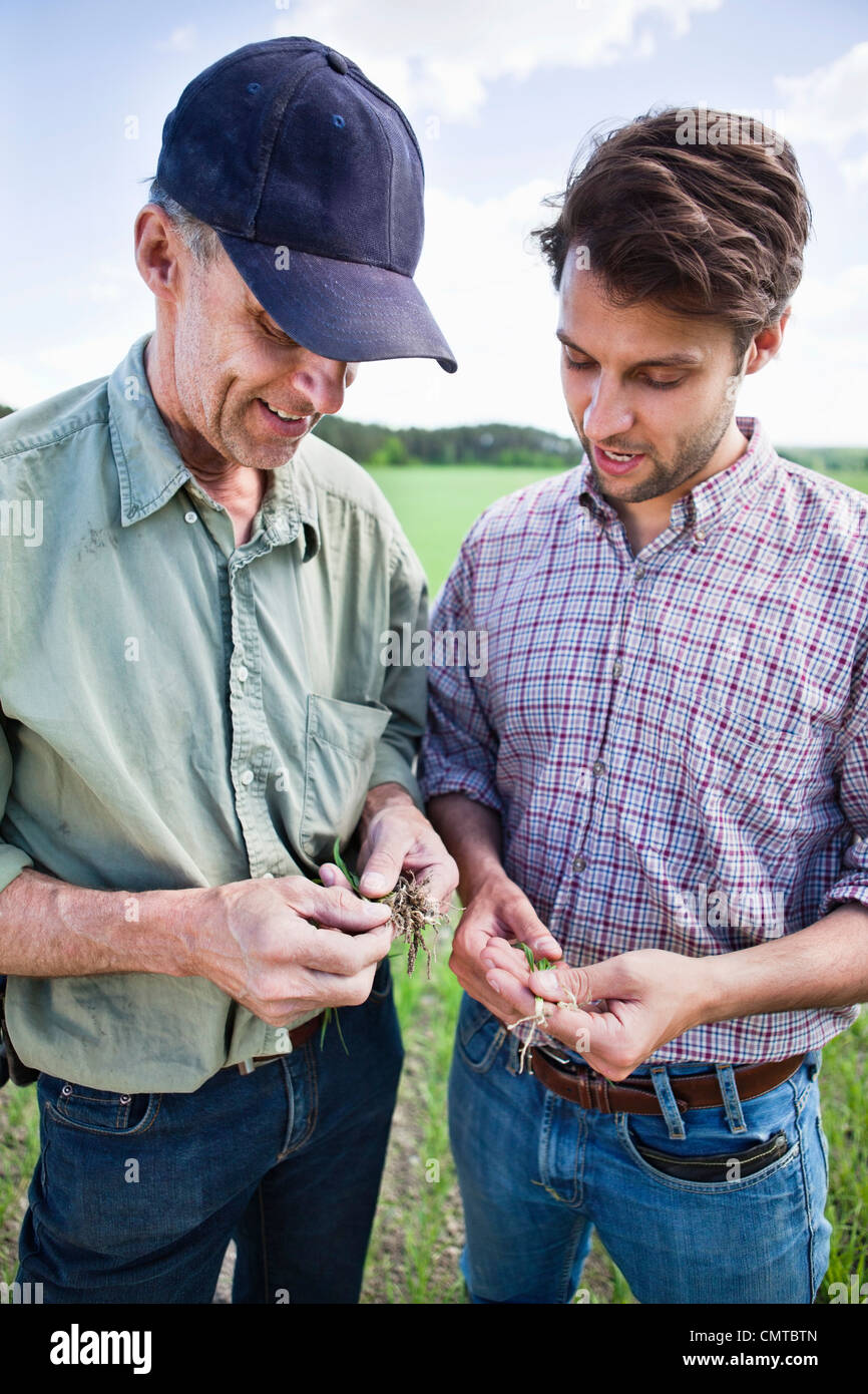 Two roots hi-res stock photography and images - Alamy