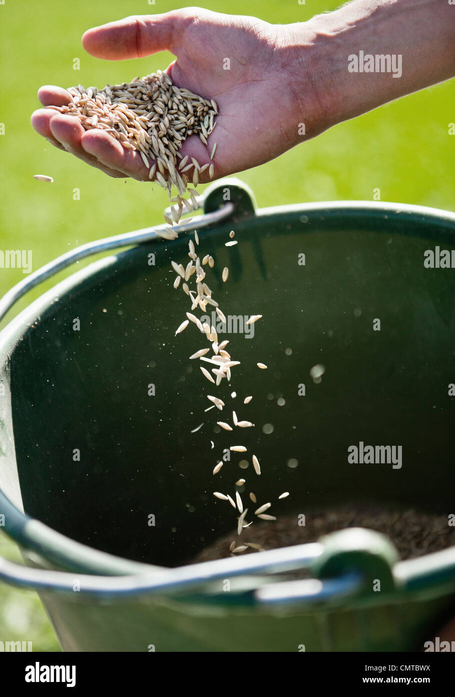 Only seeds hi-res stock photography and images - Alamy