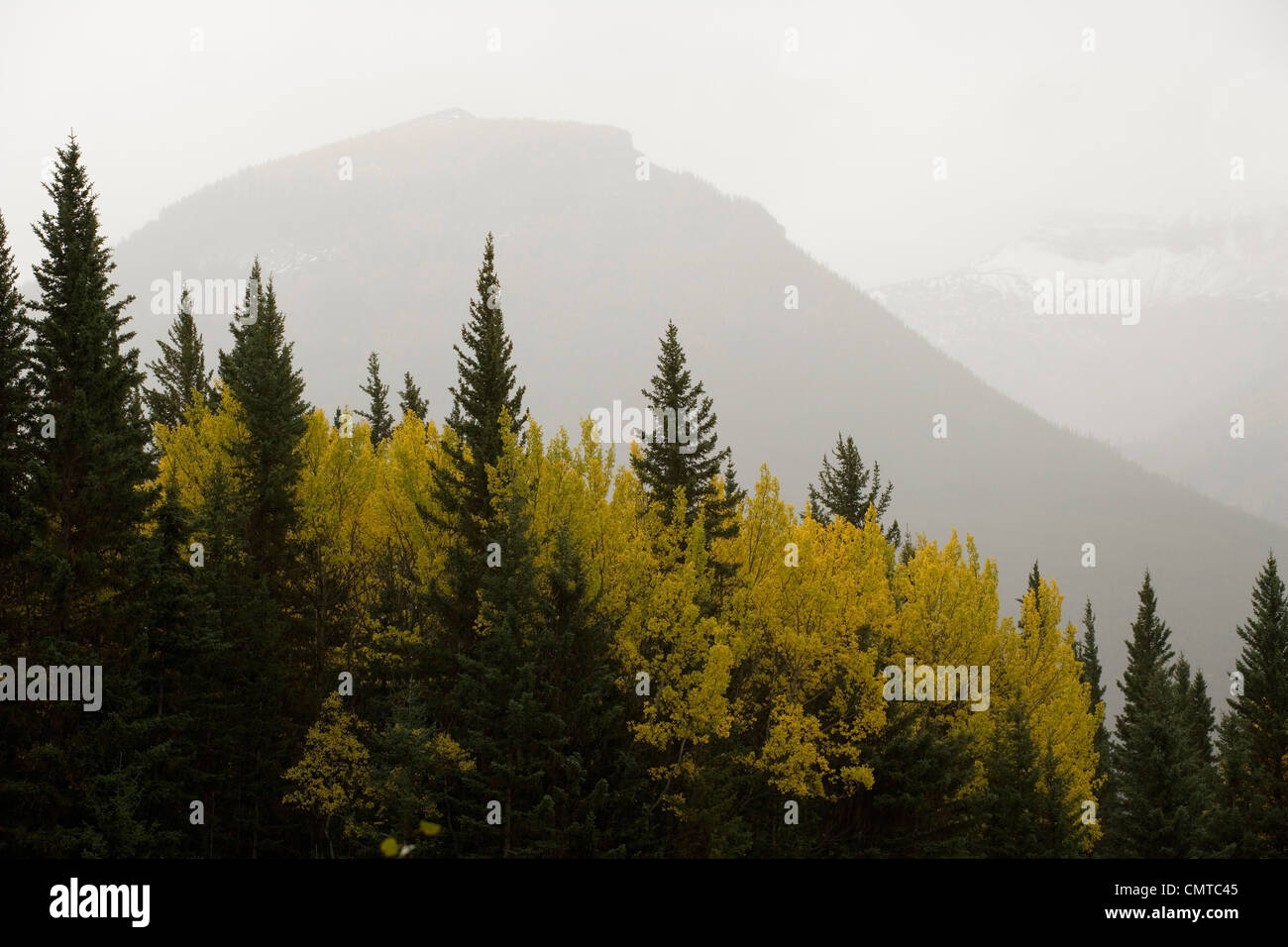 Fall foliage banff hi-res stock photography and images - Alamy