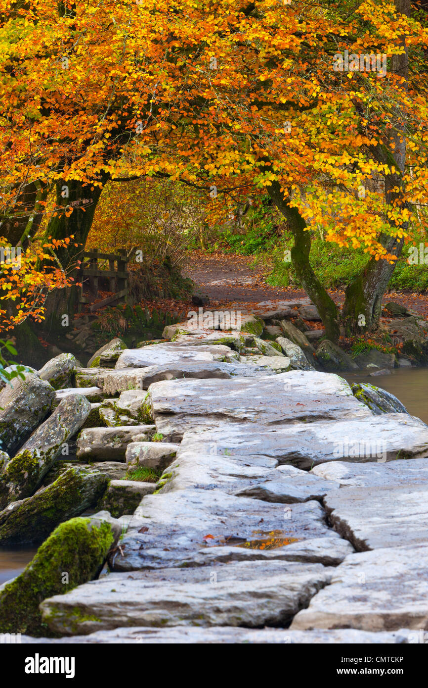 The Tarr Steps are a prehistoric clapper bridge across the River Barle ...