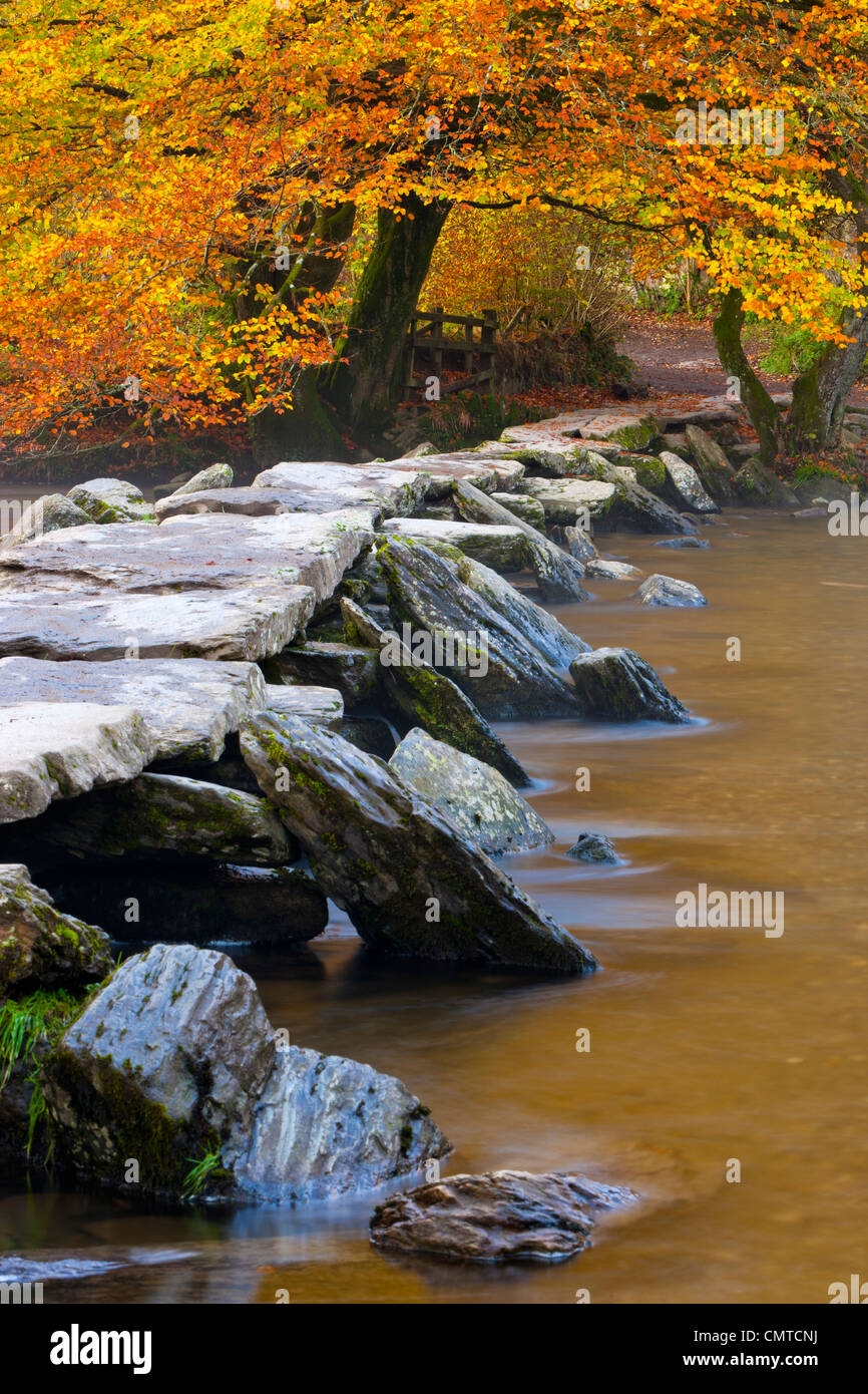 The Tarr Steps are a prehistoric clapper bridge across the River Barle ...