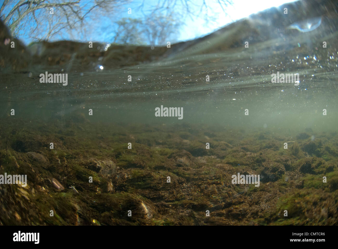 Under fairham brook Stock Photo - Alamy