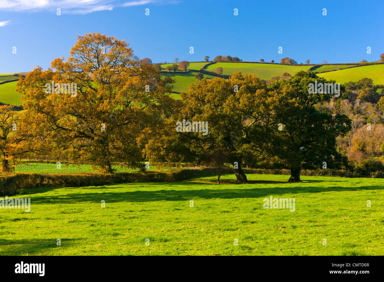 Devon countryside hi-res stock photography and images - Alamy