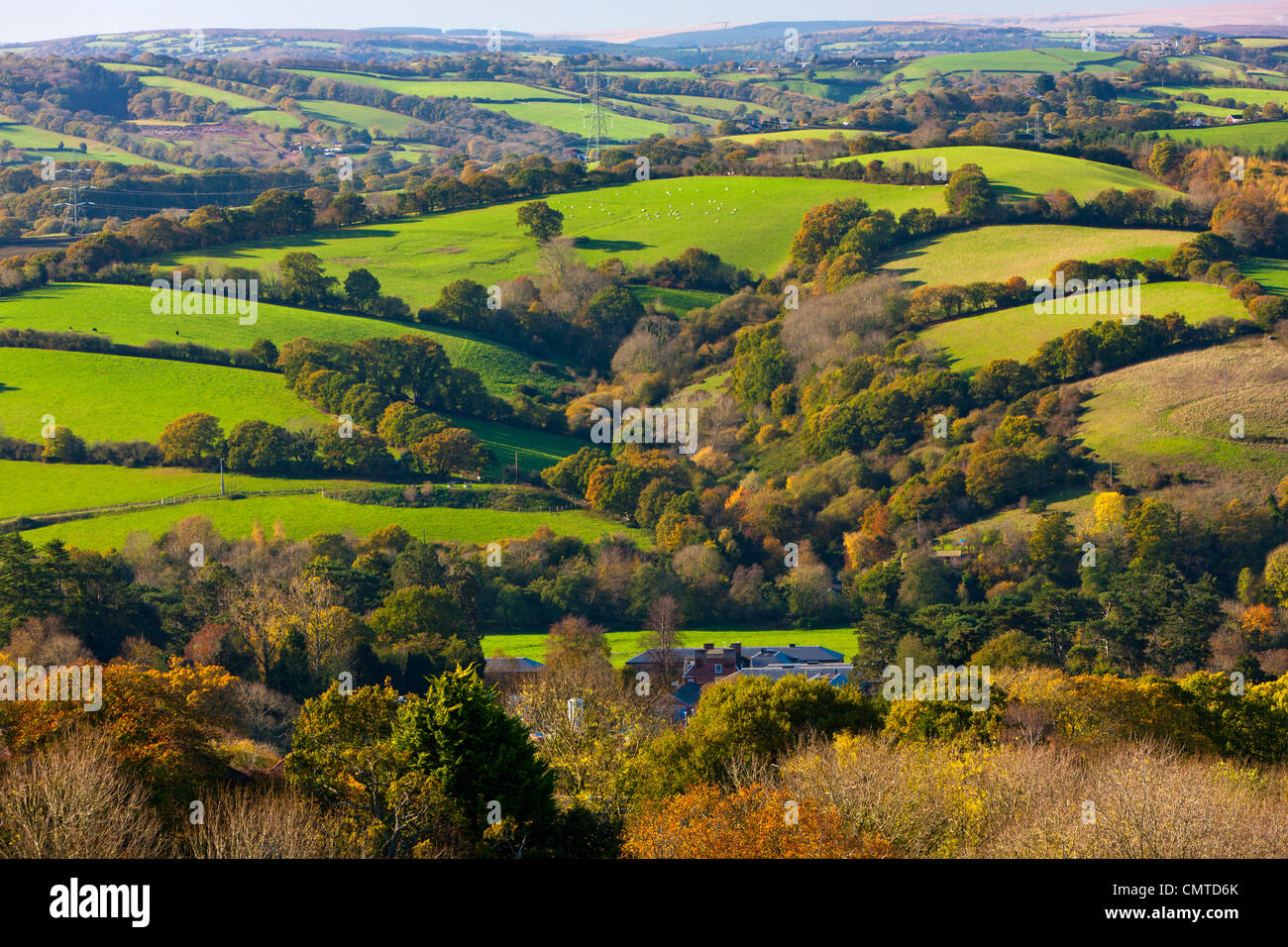 The rolling hills of the Devon countryside Stock Photo - Alamy